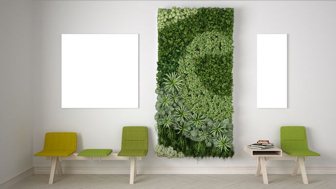 DIY: How to Make Your Own Living Wall - Home Network