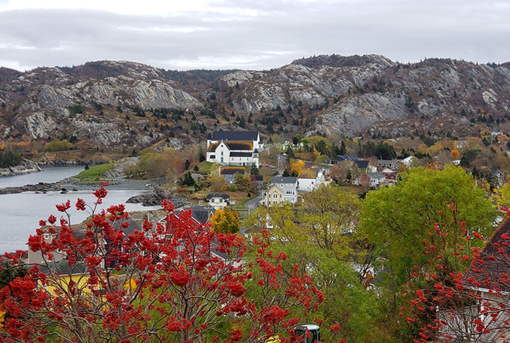 Get to Know the Cast of Rock Solid Builds