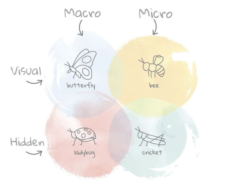 10 Things You Didn’t Know About Professional Organizer and Clutterbug ...