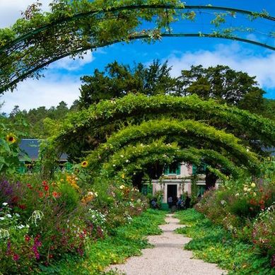 Native Canadian Plants to Grow by Province