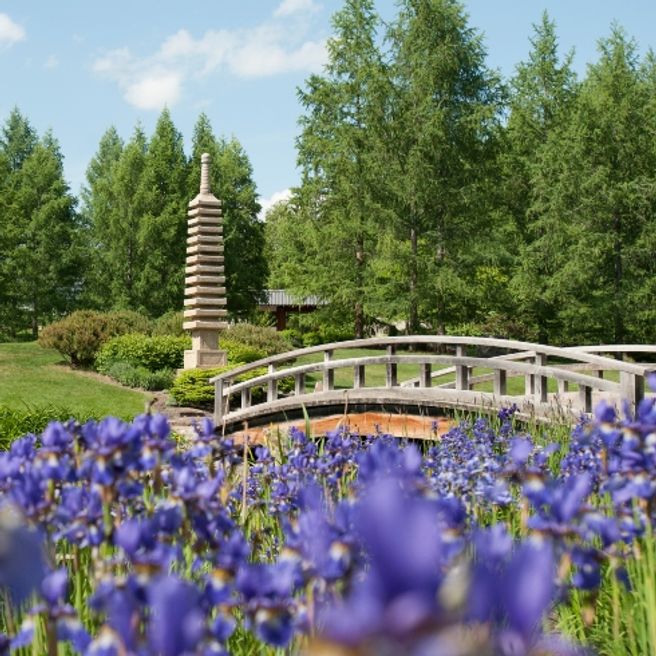13 Must-See Botanical Gardens in Canada