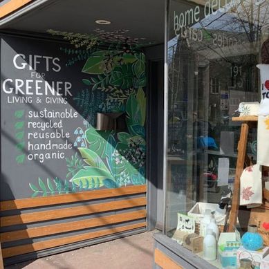 Best Eco-Friendly Home Shops in Ontario | Home Network