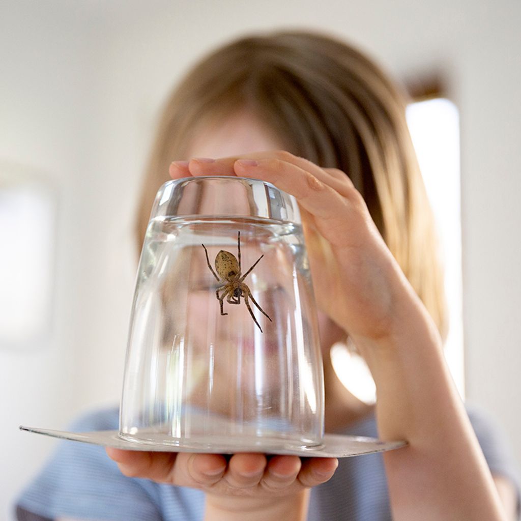 How Often Should You Wash Your Sheets?