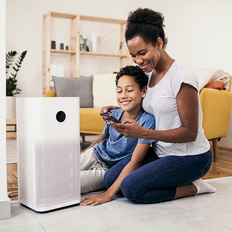Do Air Purifiers Really Work? And What Do They Actually Do?
