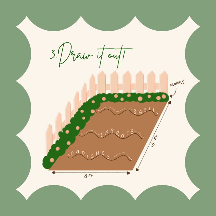 Here's How to Plan the Best Layout for a Vegetable Garden - Home Network