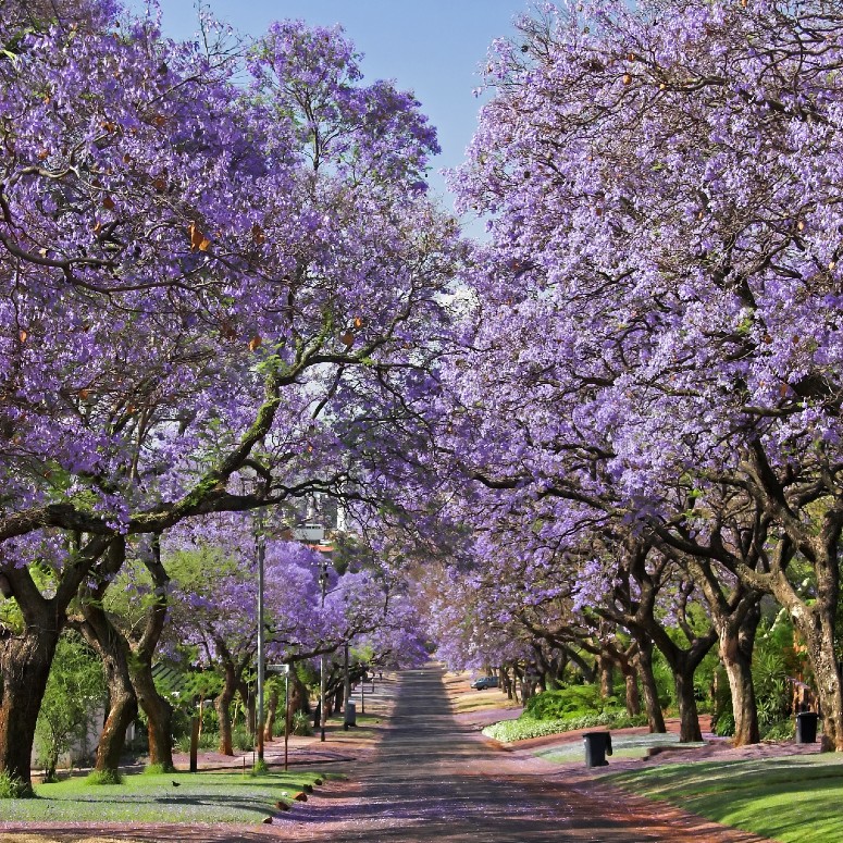 10 of the Most Beautiful Streets and Neighbourhoods in the World- Home ...